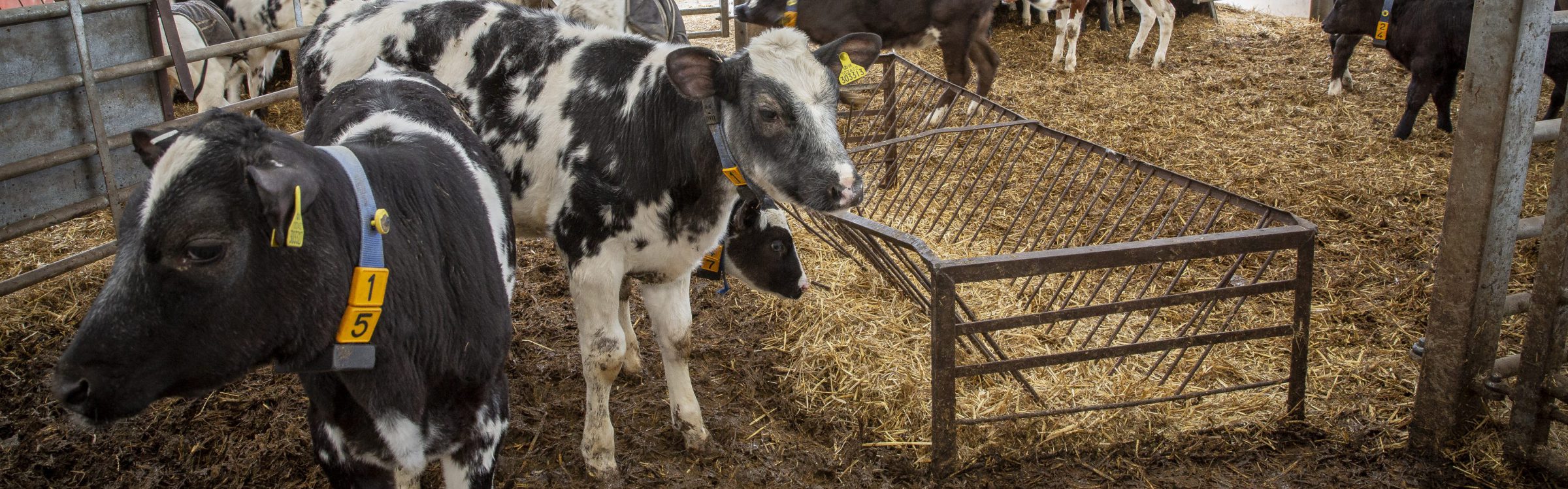 ORT quick guide - Rehydion