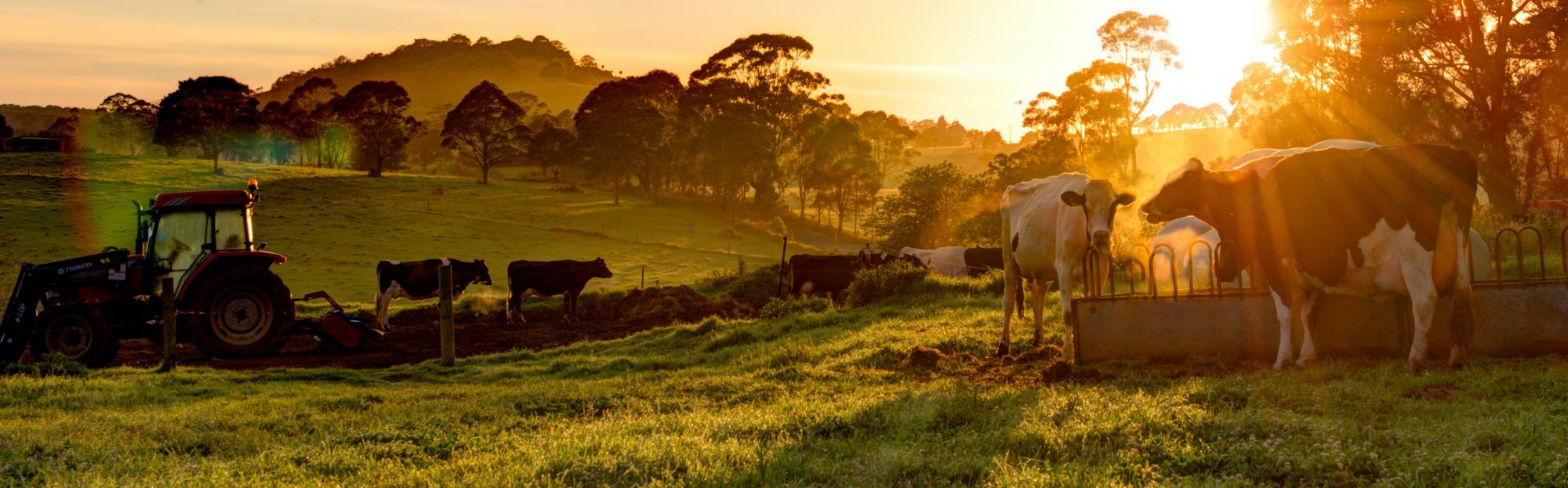 Supporting scouring animals - Rehydion